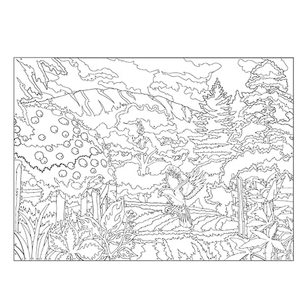 Creative Haven Country Scenes Color by Number Coloring Book (Adult Coloring Books: In The Country)