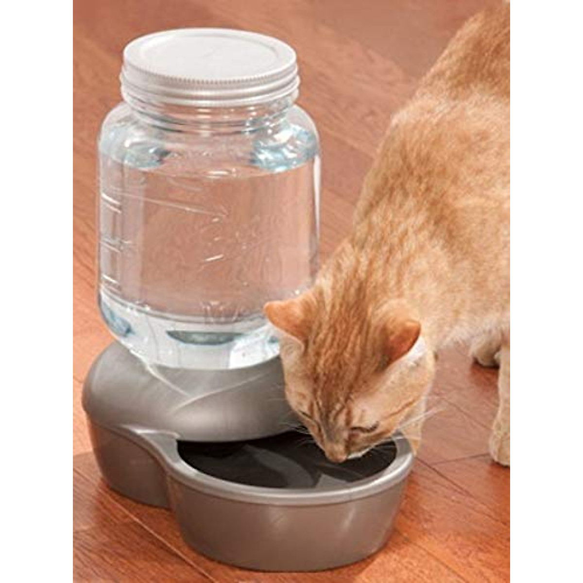 Petmate Mason Inspired Replendish Gravity Waterer, Water Dispenser for Dogs and Cats, 1 Gallon Silver