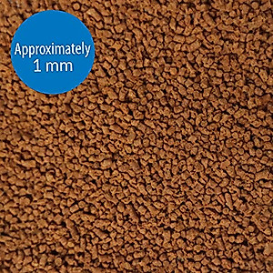 API TROPICAL MINI PELLETS Mini Sinking Pellets Fish Food 1.7-Ounce Container
