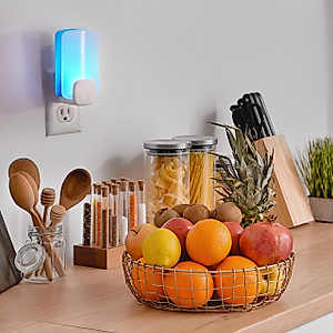 Raid Essentials Flying Insect Light Trap Refills, 2 Light Trap Refill Cartridges, Featuring Light Powered Attraction