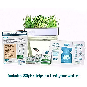 Back to the Roots Indoor Aquaponic Garden and Fishtank - 3 Gallon Self Watering, Mess-Free Planter and Self-Cleaning Fishtank for Herbs, Microgreens, Bamboo, Succulents, and Houseplants, support Fish