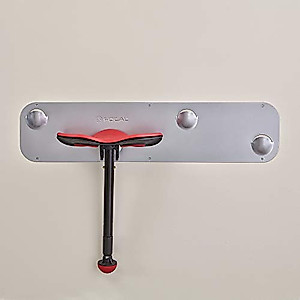 Safco Products 2260SL Mogo Wall Rack, Silver