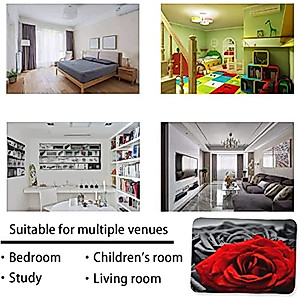 Large Farmhouse Rug Farmhouse Decor ,Romantic Rose Black White red Painting Abstract Mat Area Rugs Home Decor Non-Slip Crystal Floor Polyester Mat 19.7x31.5inch, 19.7x31.5inch(50x80cm)