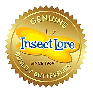 Insect Lore Two Cups of Caterpillars - Life Science & STEM Education