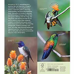 The Hummingbird Handbook: Everything You Need to Know about These Fascinating Birds