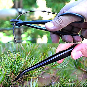 KAKURI Japanese Bonsai Tool Set 7 Pcs, Made in JAPAN, Professional Bonsai Kit (Satsuki Scissors, Long Handle Bonsai Scissors, Jin Pliers, Wire Cutter, Bonsai Tweezers, Root Hook, Broom, Bag)
