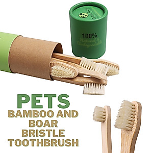Gaia Guy Bamboo and Boar Bristle Double-Sided Pet Toothbrushes - 6-Pack - for Dogs, Cats and Planet - Plastic-Free and Nylon-Free Natural Bristles - No Microplastics