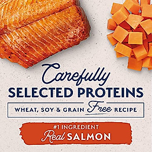 Natural Balance Limited Ingredient Small Breed Adult Grain-Free Dry Dog Food, Salmon & Sweet Potato Recipe, 4 Pound (Pack of 1)