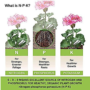 Burpee 99822 Organic Bone Meal Fertilizer, 2 Pack