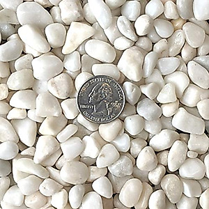 Midwest Hearth Natural Decorative Polished White Pebbles 3/8" Gravel Size (2-lb Bag)