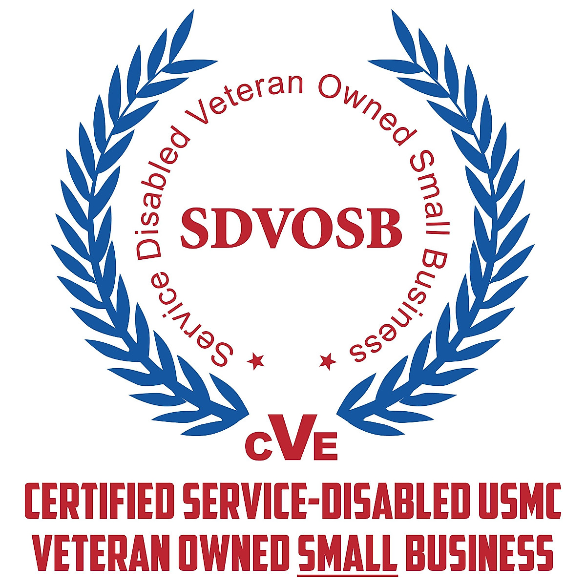 Air Force 4 in 1 Insulated Can Cooler, Stainless Steel Double-Walled Insulator for 12 oz Standard or Skinny Slim Cans, 12 Oz Beer Bottles & Mixed Drinks – Gifts for Airmen