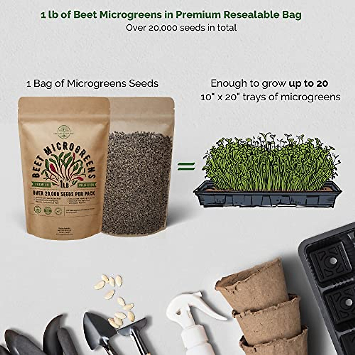 Beet Sprouting & Microgreens Seeds - Non-GMO, Heirloom Sprout Seeds Kit in Bulk 1lb Resealable Bag for Planting & Growing Microgreens in Soil, Coconut Coir, Garden, Aerogarden & Hydroponic System.