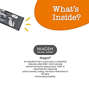 Zesty Paws NAD+ Precursor Supplement for Dogs - Niagen for Healthy Aging & Skeletal Muscle Support & Recovery - Brain, Heart, & Cellular Energy Support - Nicotinamide Riboside Chloride – 30 Sachets