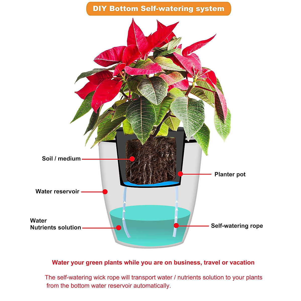 ORIMERC 60 feet 1/6 inch Self Watering Wick Cord for Vacation Self-Watering Planter Pot DIY Automatic Watering Device System Potted Plant Sitter Auto Drip Waterer to Water African Violet