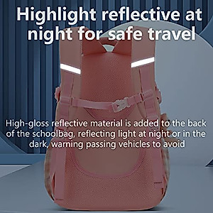 HANXIUCAO Backpacks for Girls Large Bookbags for Teens Girls Backpack for School Laptop Compartment Primary School (Pink)