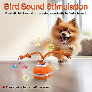 Salodal Peppy Pet Ball for Dogs, Dog Interactive Toys Dog Ball,Motion Activate Rolling Ball for Puppy/Small Dogs, Automatic Moving Dog Toy,USB Rechargeable (Dog Ball)