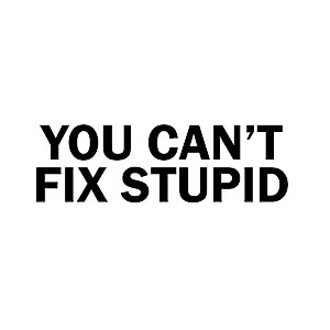 CafePress You Cant Fix Stupid Funny Hilarious, Mugs Ceramic Coffee Mug, Tea Cup 11 oz