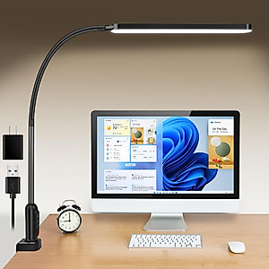 BIENSER LED Desk Lamp with Clamp, Super Bright, 11 LED Lights, 5 Color Modes, Flexible Gooseneck, Eye-Caring, Black, Metal & Silicone, Office Reading Lamp
