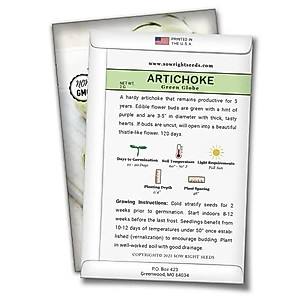 Sow Right Seeds - Artichoke Green Globe Seeds for Planting - Non-GMO Heirloom Packet with Instructions to Plant and Grow an Outdoor Home Vegetable Garden - Perennial - Wonderful Gardening Gift