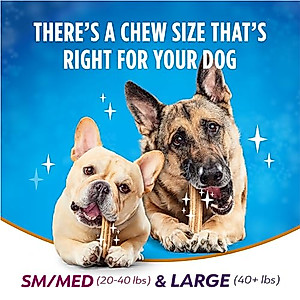 Purina Dentalife Plus Immune Support Chicken, Apple and Blueberry Flavor Small/Medium Dog Dental Chews - 19 ct. Pouch