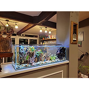 Lifegard Aquatics 16 Gallon Clear Glass Bookshelf Aquarium 6mm (33.85"x9.84"x11.02")