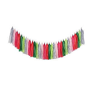 Fonder Mols Watermelon Party Tassel Garland DIY Kit Balloon Tail Tassels Melon Birthday Summer Party Decorations(Pack of 30, Coral Fuchsia Green Pink Polka) A24