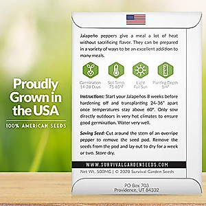 Survival Garden Seeds - Jalapeño Pepper Seed for Planting - Packet with Instructions to Plant and Grow Green or Red Chili Peppers in Your Home Vegetable Garden - Non-GMO Heirloom Variety - Single Pack