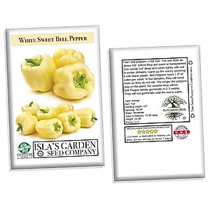 White Sweet Bell Pepper Seeds for Planting, 20+ Heirloom Seeds Per Packet, (Isla's Garden Seeds), Non GMO Seeds, Botanical Name: Capsicum annuum, Great Home Garden Gift