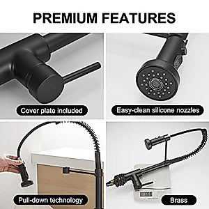 BESy Kitchen Faucet with Pull Out Pull Down Sprayer, Rv Brass High-Arc Single Handle Single Lever Spring Kitchen Sink Faucet, 3 Function Laundry Faucet, Matte Black Finish