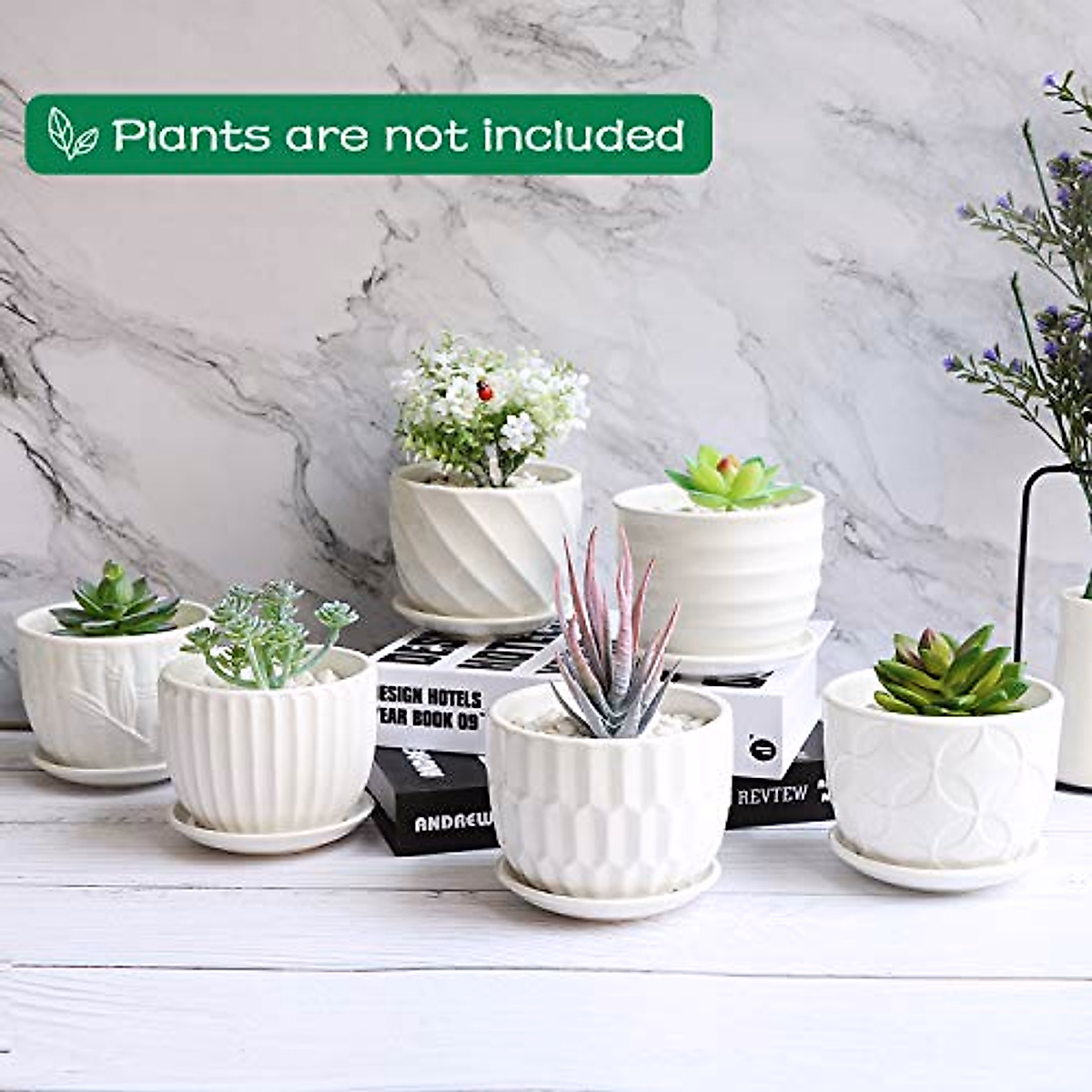 Brajttt Flower Pots, 4 Inch Cylinder Ceramic Plant Pots with Connected Saucer, Mini Ceramic Planters for Succulent and Little Snake Plants (6 Pack, White)