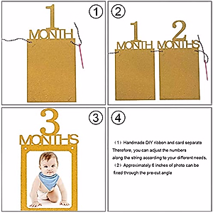 1st Birthday Baby Photo Banner ，Growth Record 1-12 Month Photo Prop ，Monthly Milestone Photograph Bunting Garland, First Birthday Celebration Decoration （Black）