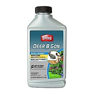 Ortho Deer B Gon Deer and Rabbit Repellent Concentrate, 32-Ounce