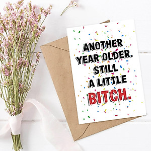 Emily gift Another Year Older. still A Little Bitch Card - Brother Sister Birthday Card - Funny Birthday Card - Sister Birthday Card - Birthday Card For Sibling