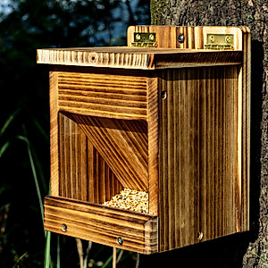 BalterFF Bird Feeders for Outdoors,Wooden Unique Seed Sunflower Food Feeder Blue Cardinal Finch Backyard Platform Balcony Gazebo Tree Fence Wall Mount Effortless Holder Automatic Buddy Gift