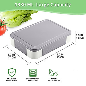 LOVINA Bento Box for Adult Kids, Stylish Teens Adult Lunchable Snack Containers With 5 Compartments, Durable, Microwave/Dishwasher Safe, BPA-Free, Perfect for On-the-Go Meal(Solid Grey)