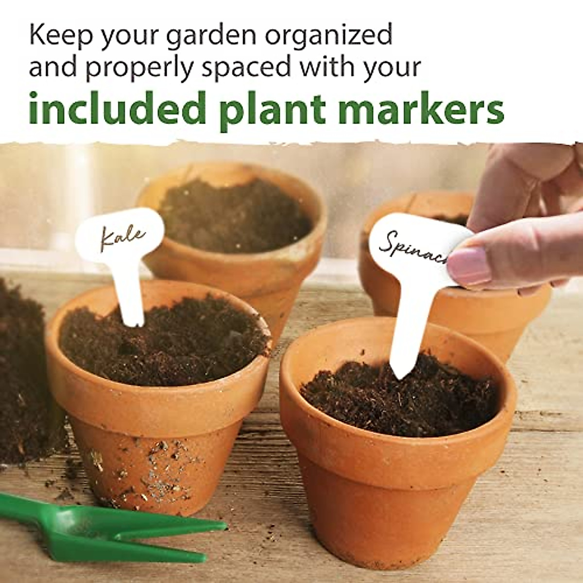 10,000+ Heirloom Lettuce Seeds for Planting Indoors - 95% Germination, Non-GMO Greens Seeds, (20 Varieties): Kale, Spinach, Butter, Oak, Romaine Bibb & More - Lettuce Seeds for Hydroponic Home Garden