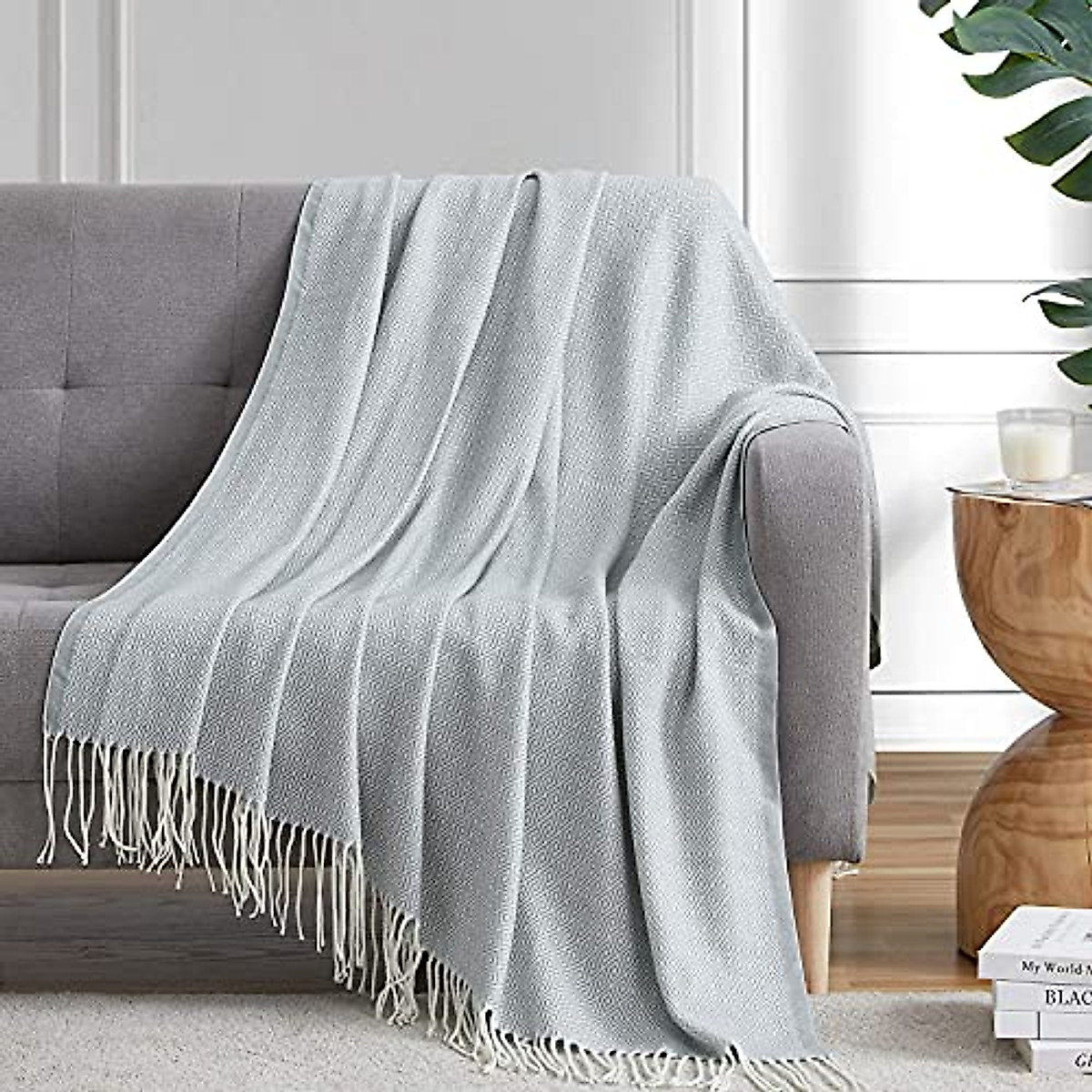 BOURINA Decorative Diamond Lattice Faux Cashmere Fringe Throw Blanket Lightweight Soft Cozy for Bed or Sofa Farmhouse Outdoor Throw Blankets, 50" x 60",Light Blue