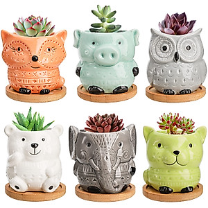 Frcctre 6 Pack Ceramic Succulent Pots, Small Succulent Planter Pots with Drainage and Bamboo Tray, Cute Animal Planting Pot Flower Pot Indoor Plant Pot for Succulent, Cactus, Garden Office Home Decor