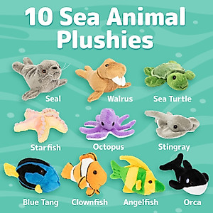 PREXTEX 10 Piece Plush Soft Stuffed Sea Animals - Small Stuffed Animals Bulk - Playset Plush Assortment, Turtle, Stingray, Nemo Fish, Killer Whale and More - Bulk Stuffed Animals