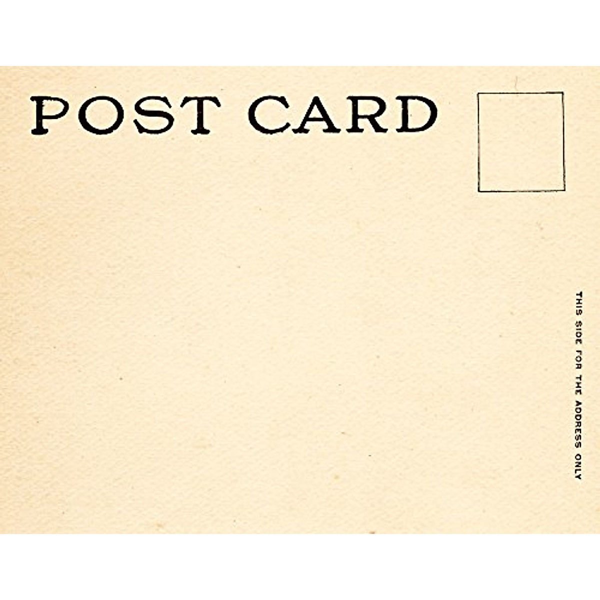 Vintage PostCards 24 pcs Amazing Birds George Edwards Vintage Illustrations