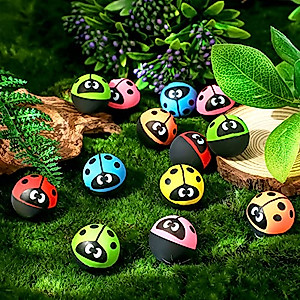 24 Pcs Ladybug Bouncy Balls Ladybug Party Favors Small Bouncing Balls 32 mm/ 1.3 Inch Ladybug Theme Rubber Balls 6 Colors Anxiety Fidget Sensory Balls for Kid Carnival Prizes Birthday Gift Bag Filling