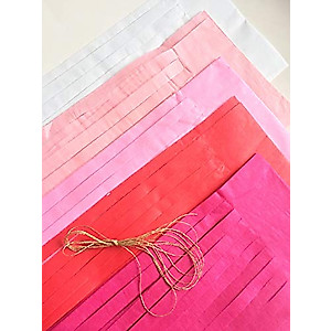 Fonder Mols 25pcs Pink Ombre Tassel Garland DIY Kit- Balloon Tail - Banner - Pink Birthday - Pink Nursery - Bachelorette Party - Baby Girl - Baby Shower - High Chair Decorations A02