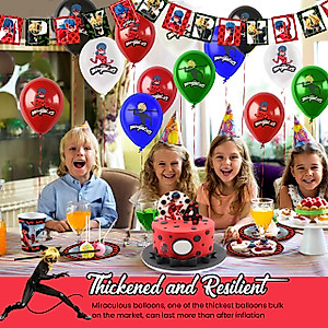 Miraculous Ladybug Cat Noir 12" Birthday Party Balloons 25 Pcs | Premium Latex for Miraculous Ladybug Party Supplies and Decorations by Vision E.D.