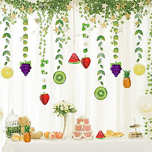12 Strings Fruit Garlands for Kids Birthday Party Decorations Fruit Birthday Banner for Holiday Luau Tropical Theme Party Supplies Baby Shower Decorations