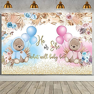 AIBIIN Boho Bear Gender Reveal Backdrop Boho Baby Shower Gender Reveal Party Decorations Banner He or She What Will Baby Be Photo Background Pink and Blue Pampas Grass Gender Reveal Banner Vinyl 7x5ft