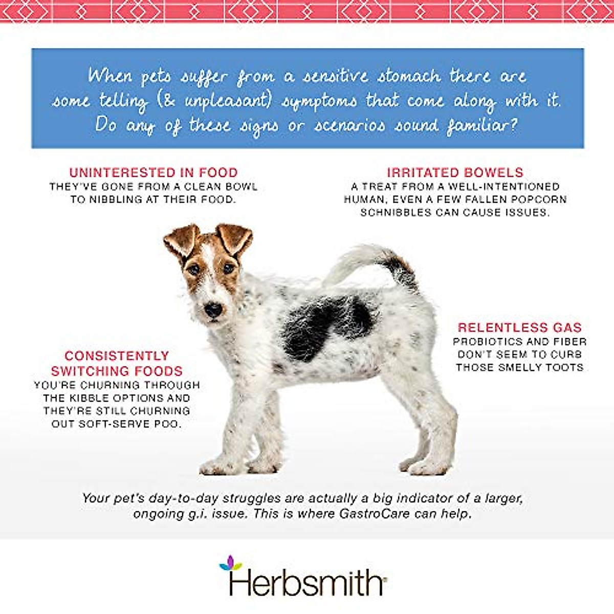 Herbsmith GastroCare - For Cats & Dogs with Sensitive Stomachs - Cat and Dog Digestive Support - Ease Canine and Feline Sensitive Stomach - 75g