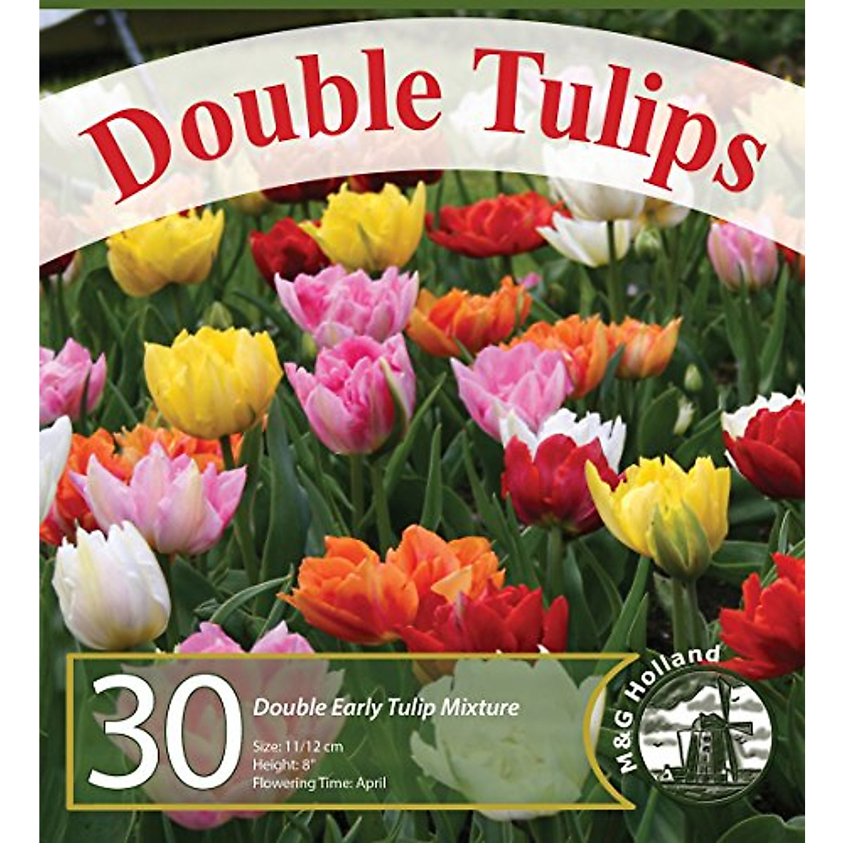 Double Tulip Mixture- 30 Perennial Tulip Bulbs
