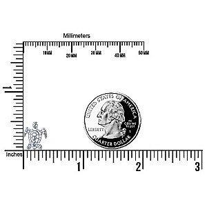 (Health and Longevity) S925 Sterling Silver Sea Turtle Animal Stud Earring for Women