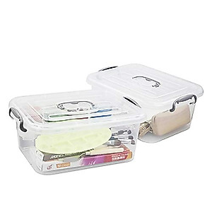 Zerdyne 2 Packs 8 L Clear Plastic Storage Boxes with Grey Handle