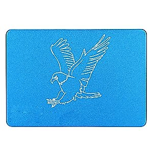 Garsentx Hsthe Sea SSD Automatic Recognition Intelligent Error Correction Blue Metal 2.5‑inch Hard Drive for Storing Data for OS X/Linux/Windows XP/Win/7/8/10 (8GB)